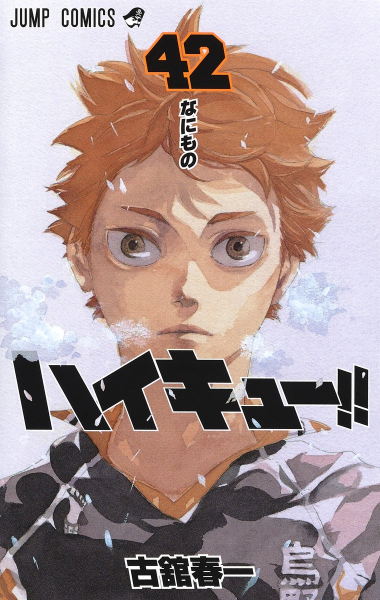 Haikyuu!! - Volume 42 – JapanGoodz